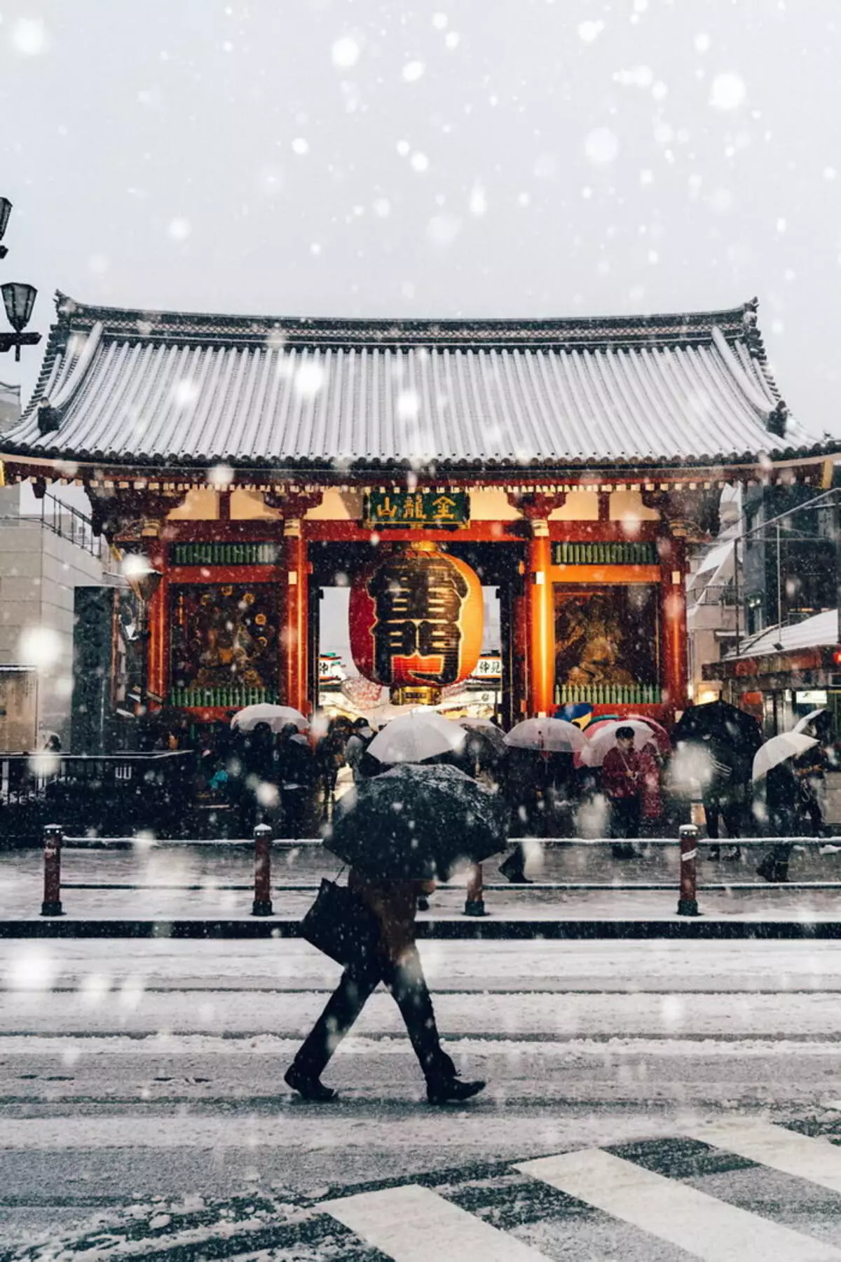 Phénomène météorologique rare pour le Japon: Tokyo couvert de neige sur les photos de Yuichi Yokota (Yuichi Yokota) 5626_2