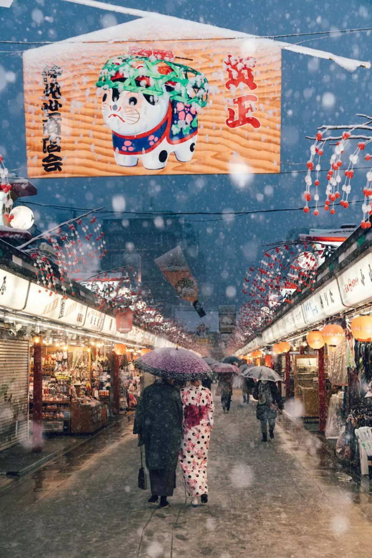 Phénomène météorologique rare pour le Japon: Tokyo couvert de neige sur les photos de Yuichi Yokota (Yuichi Yokota) 5626_4