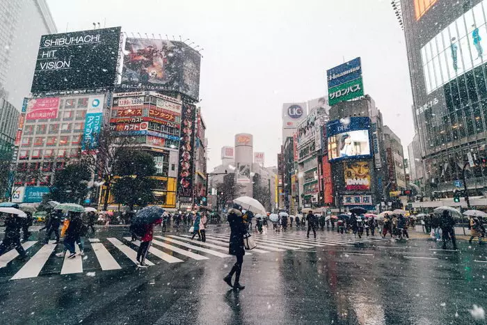 Phénomène météorologique rare pour le Japon: Tokyo couvert de neige sur les photos de Yuichi Yokota (Yuichi Yokota) 5626_8