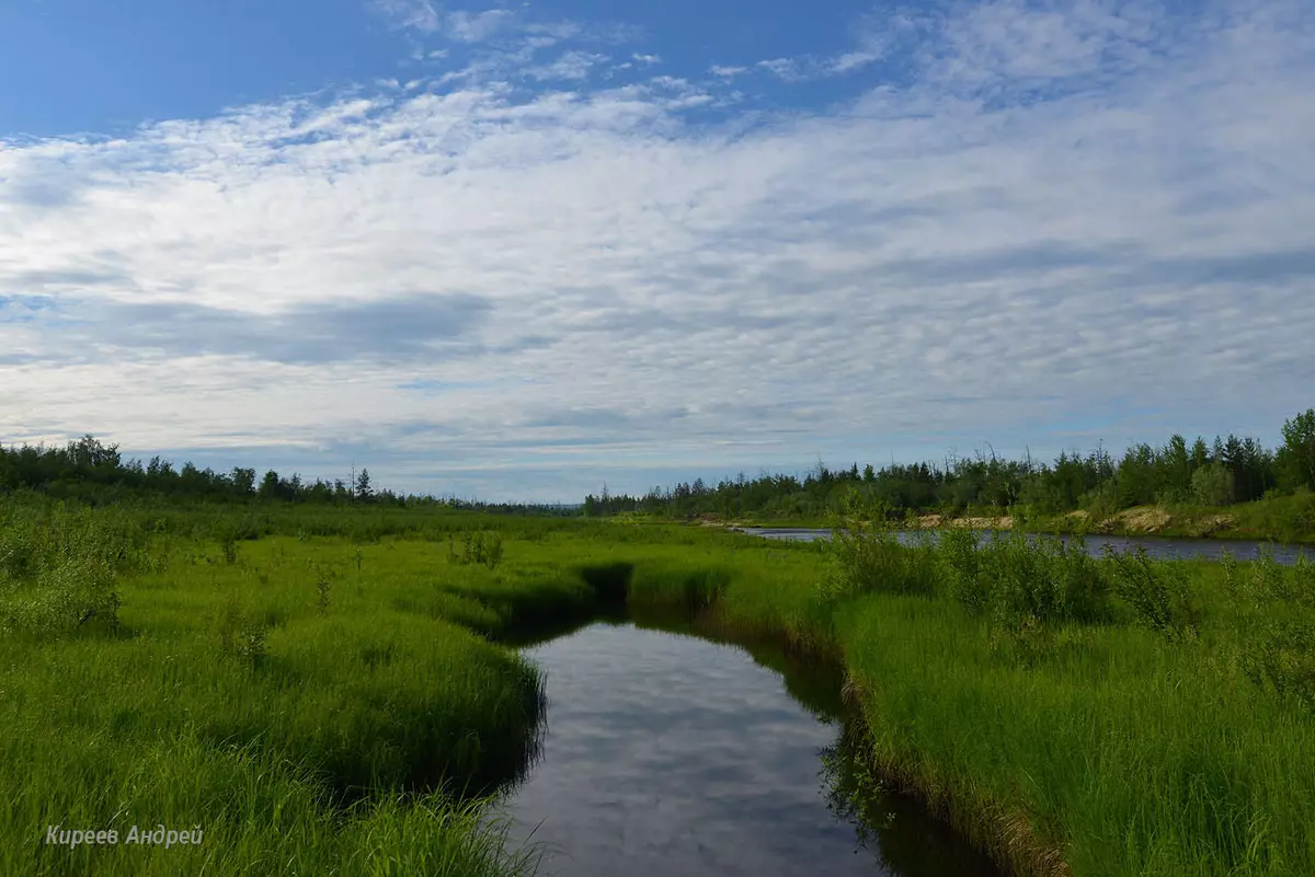 Onheemlech pittoresch !!! Yakutia, sënnegely Pfeiler an der Lens Kiuneva Andrei 5651_3