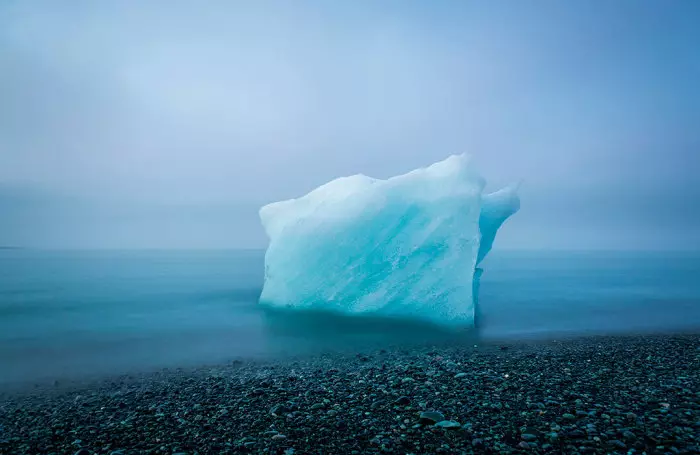 Який прекрасний цей світ: переможці благодійного фотоконкурсу «The Nature Conservancy 2018» 5654_2