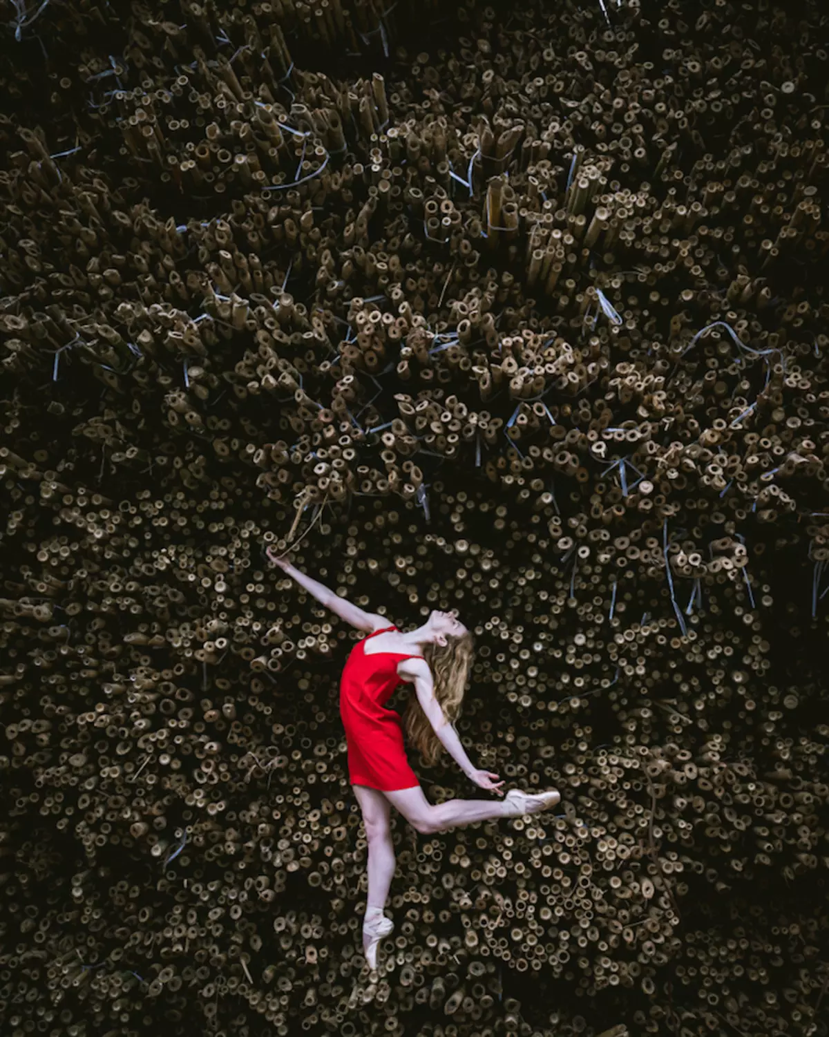 Bailarina en las calles de Hong Kong: el famoso fotoproyecto conquista asia