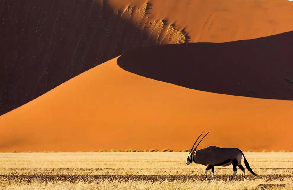 Dead Valley no deserto de Namib 5766_9