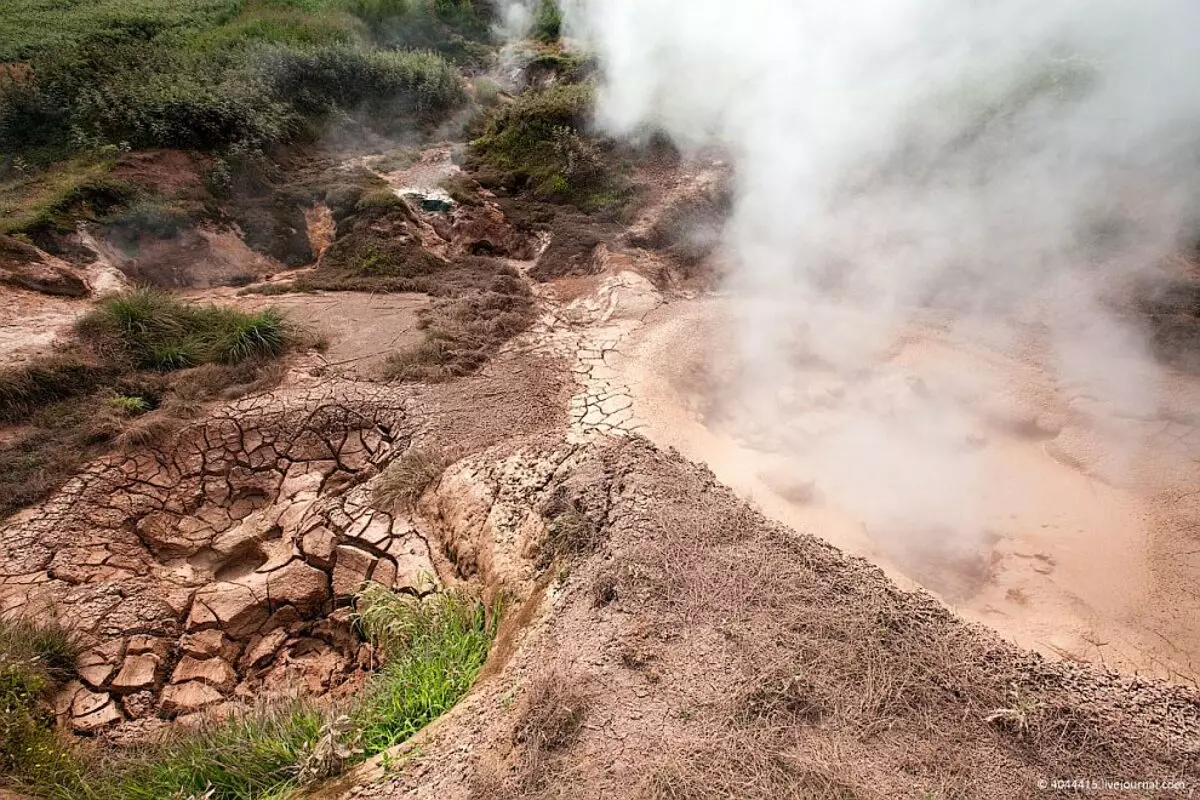 Stacioni i energjisë gjeotermale në Kamchatka. Jose jjero Fotografitë (Khose JJERO) 5803_17