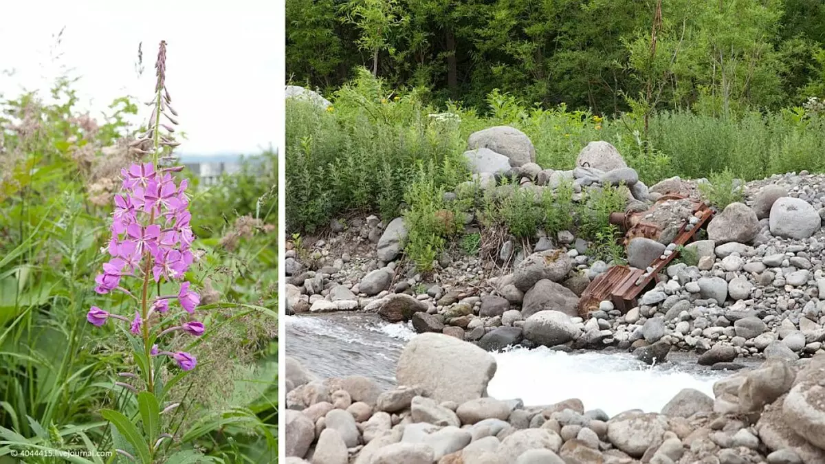 نیروگاه زمین گرمایی در Kamchatka. عکس Jojero عکس (Khose Jjero) 5803_23