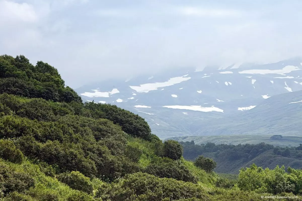 Stacioni i energjisë gjeotermale në Kamchatka. Jose jjero Fotografitë (Khose JJERO) 5803_32