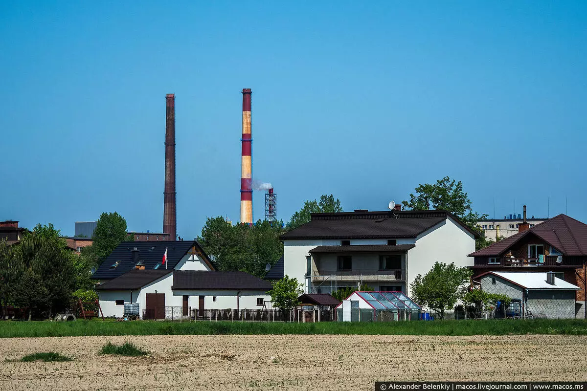 Ukuvuselela i-Auschwitz: Ngubani ohlala emakamu okufa angaphambili? Umthwebuli wezithombe u-Alexander Belenky 5815_13