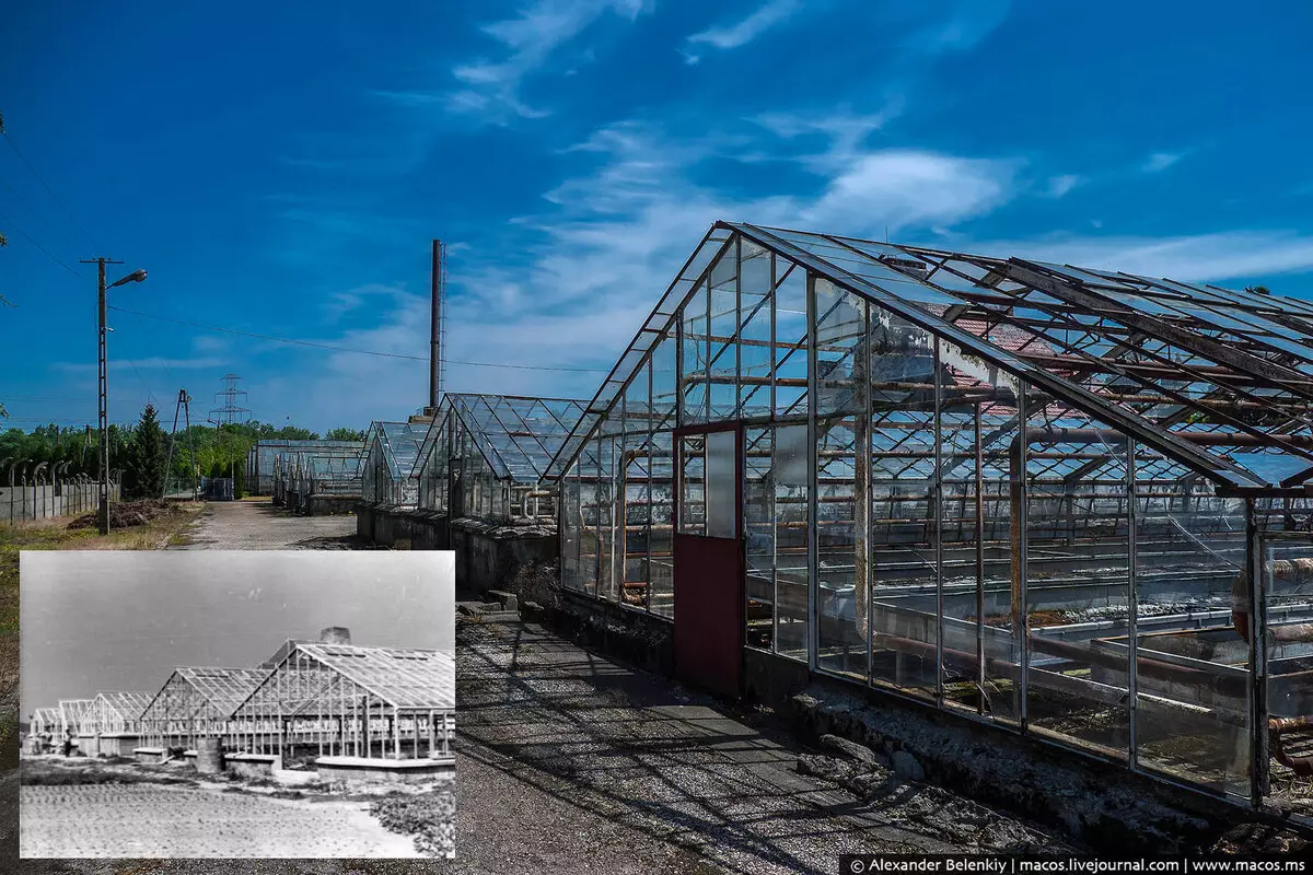 Ukuvuselela i-Auschwitz: Ngubani ohlala emakamu okufa angaphambili? Umthwebuli wezithombe u-Alexander Belenky 5815_19