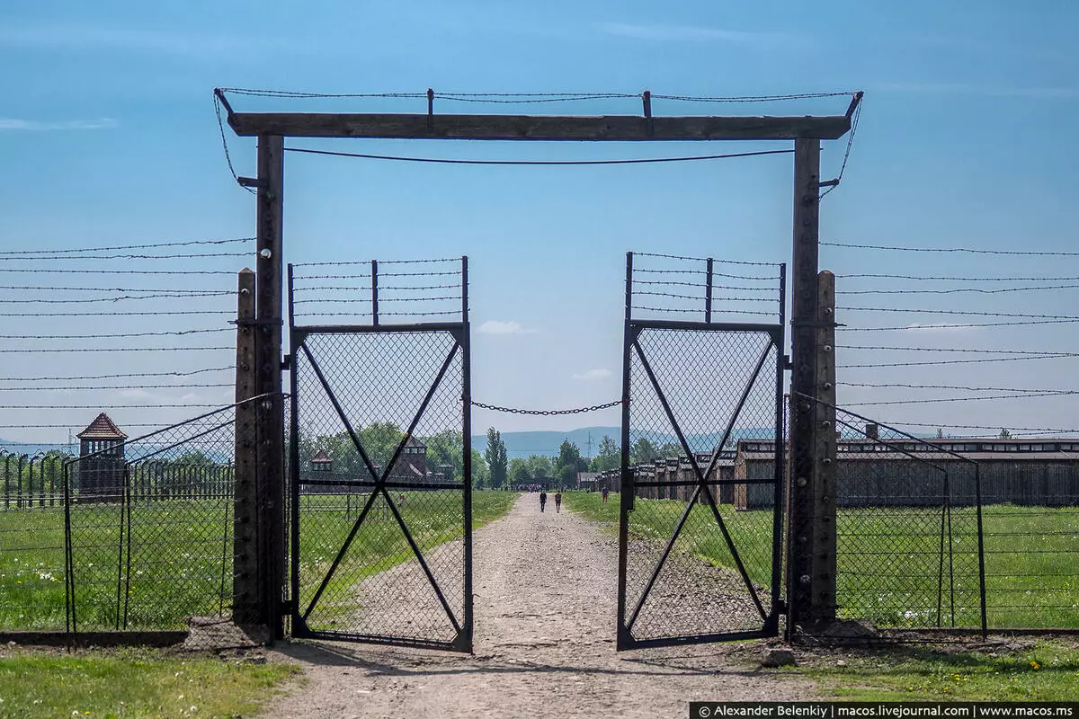 Ukuvuselela i-Auschwitz: Ngubani ohlala emakamu okufa angaphambili? Umthwebuli wezithombe u-Alexander Belenky 5815_3