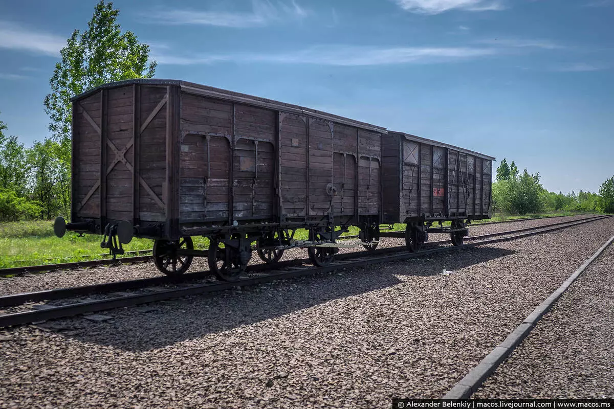 Таъмири Auschwitz: ки дар лагерҳои собиқи марг зиндагӣ мекунад? Суратгир Александр Беленки 5815_8