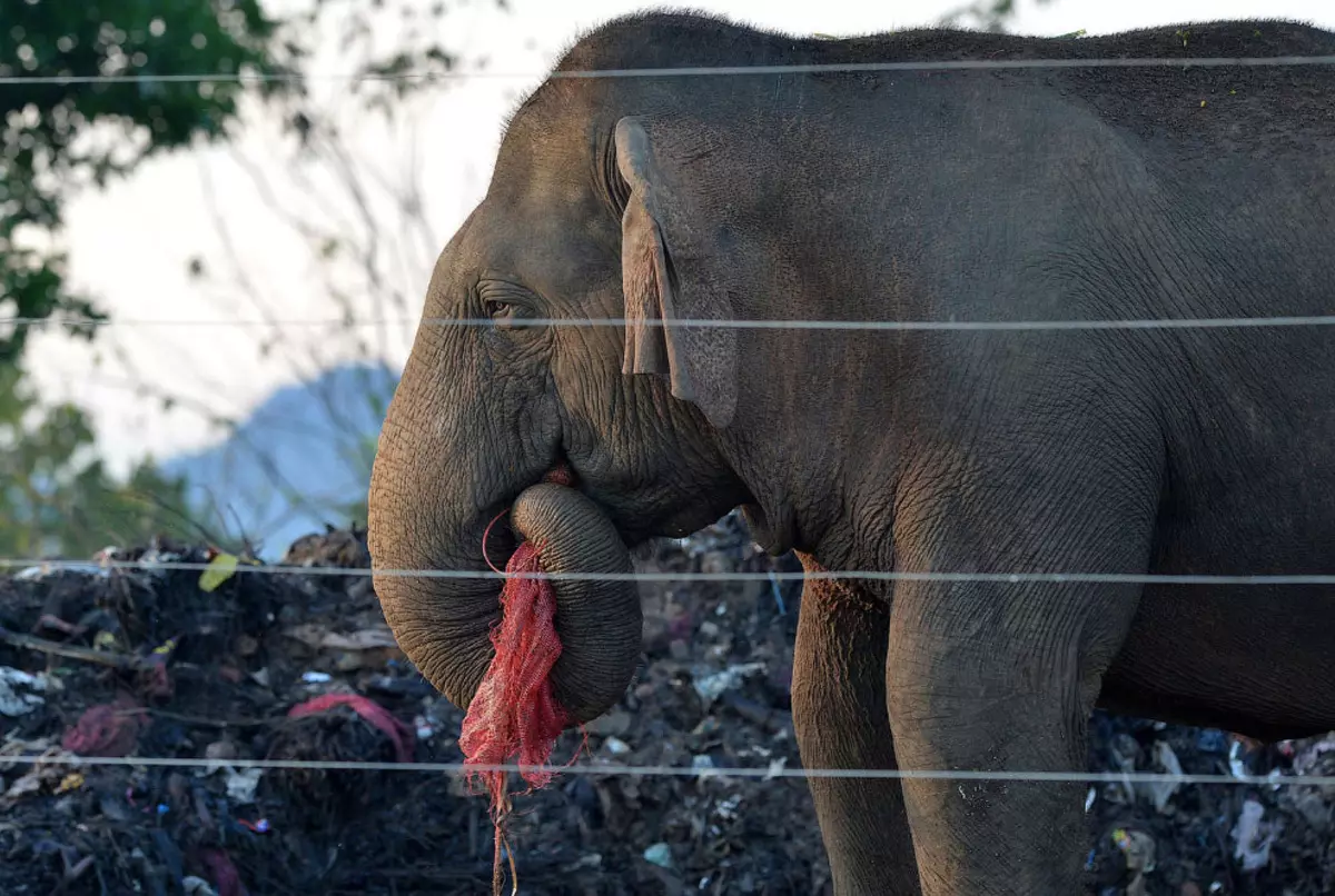 Bari mu kalli duniyar filastik! 5850_2