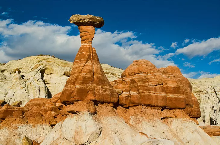 Champignons en pierre d'Arizona 5858_1