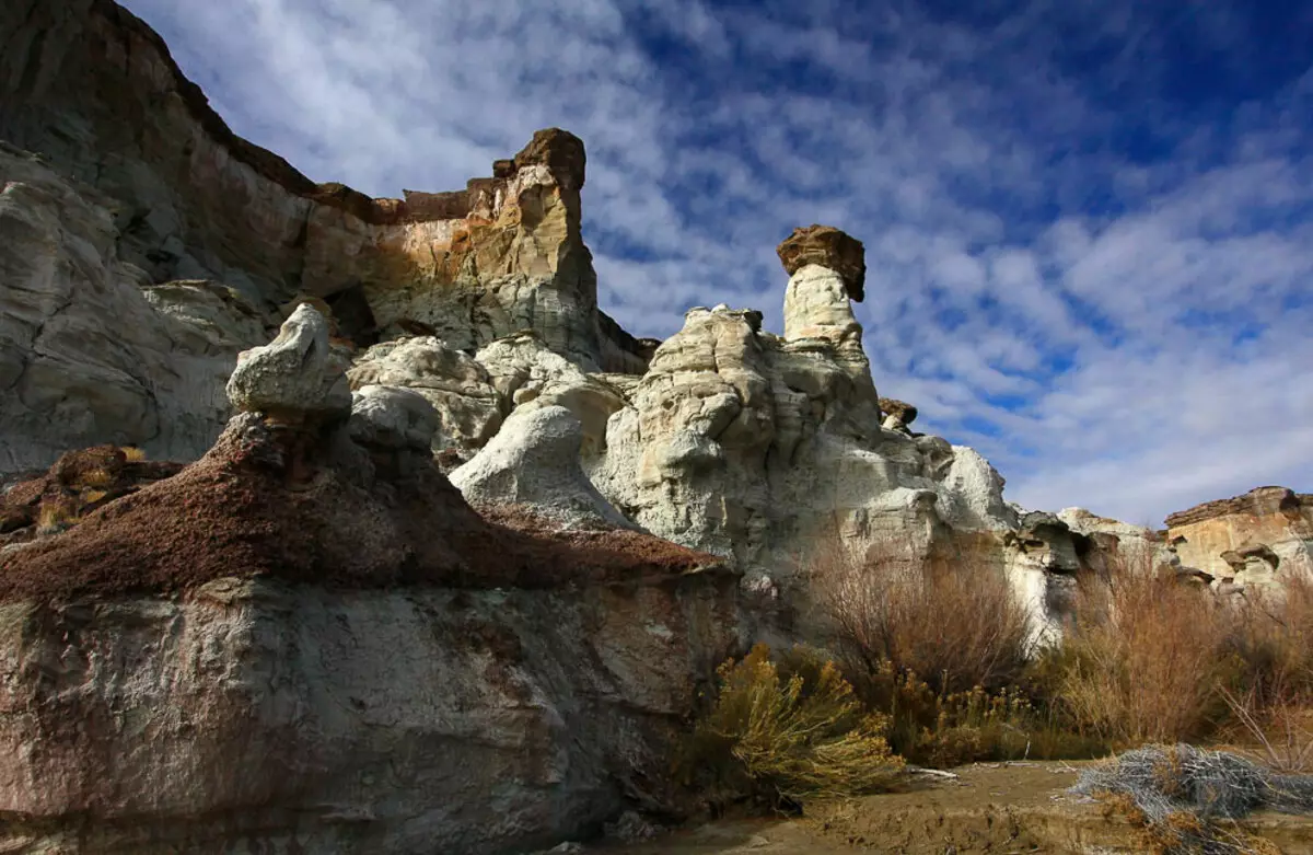 Champignons en pierre d'Arizona 5858_15