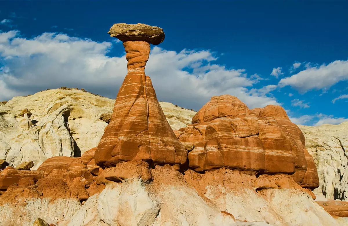 Champignons en pierre d'Arizona 5858_17