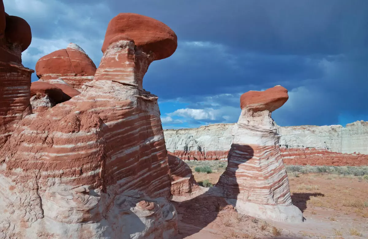 Champignons en pierre d'Arizona 5858_4