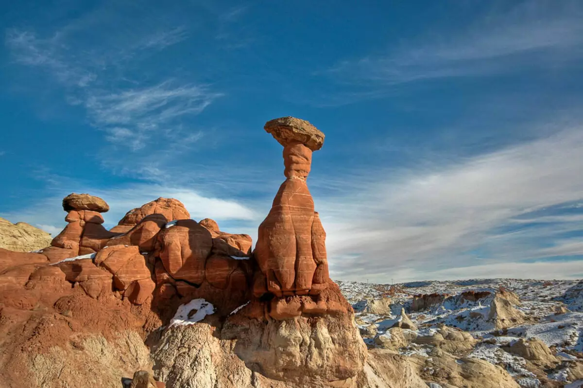 Champignons en pierre d'Arizona 5858_7