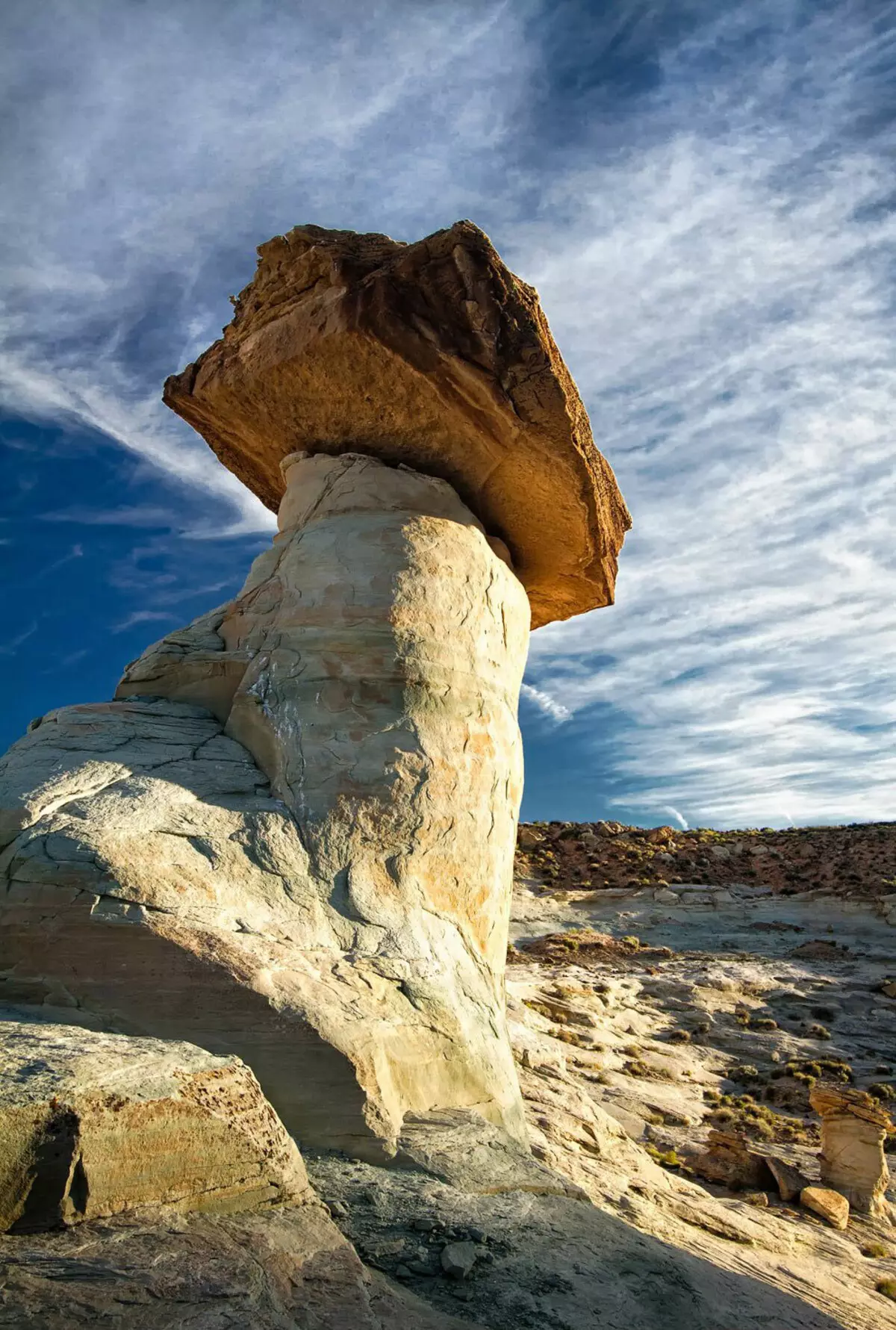 Champignons en pierre d'Arizona 5858_9