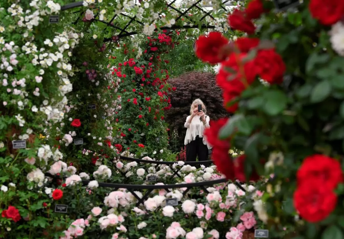 Kuhle ngezimbali Show the RHS Chelsea Flower Show: Photo toby Melville (Toby Melville) 5868_2