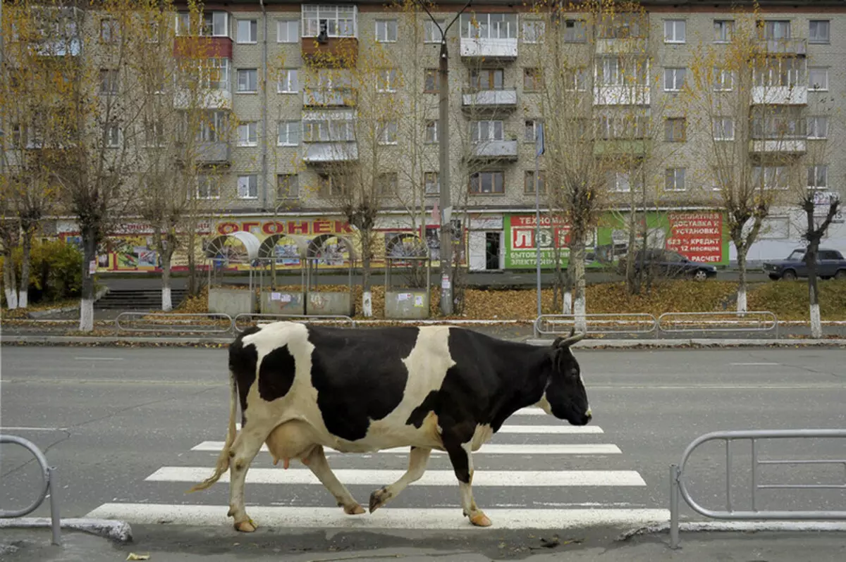 Photos de rue d'Alexander Petrosyan 68