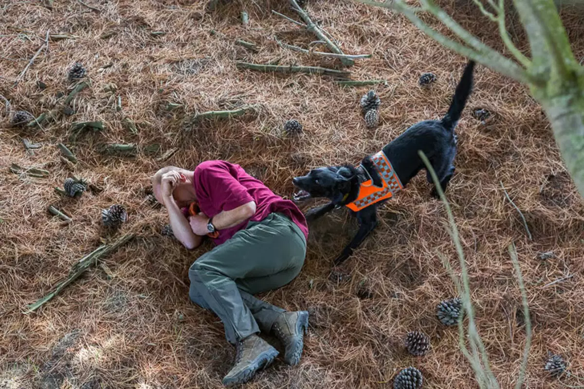 Anjing yang paling rajin dalam Foto Andrew Fleidbo 5953_19