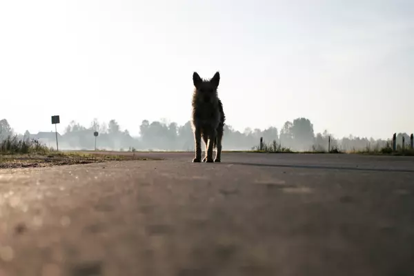 Vsakdanje življenje v sodobni ruski vasici na fotografijah Andrei Kremenchuk 5955_16