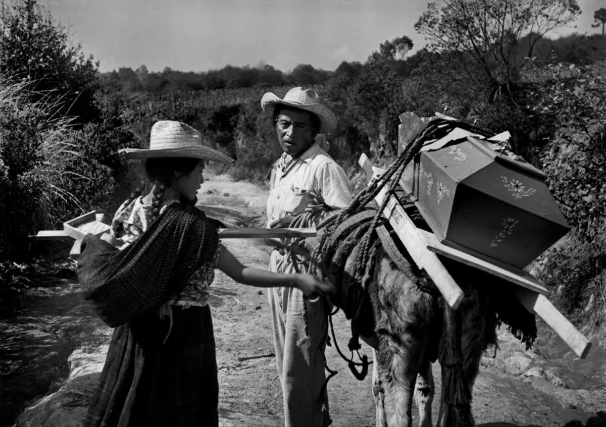 Master Fotoğraflar Verner Bishof 14