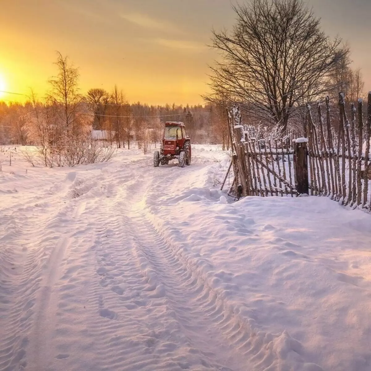 Winterverhaal op de foto's van Andrei Bazanov 59_10