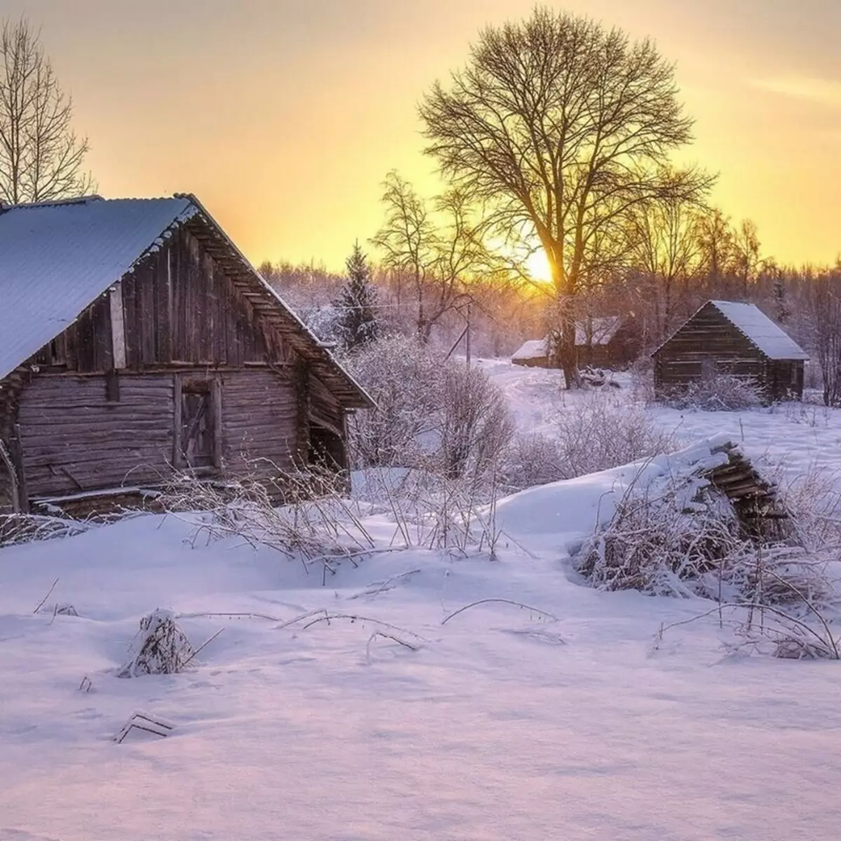 Winterverhaal op de foto's van Andrei Bazanov 59_15