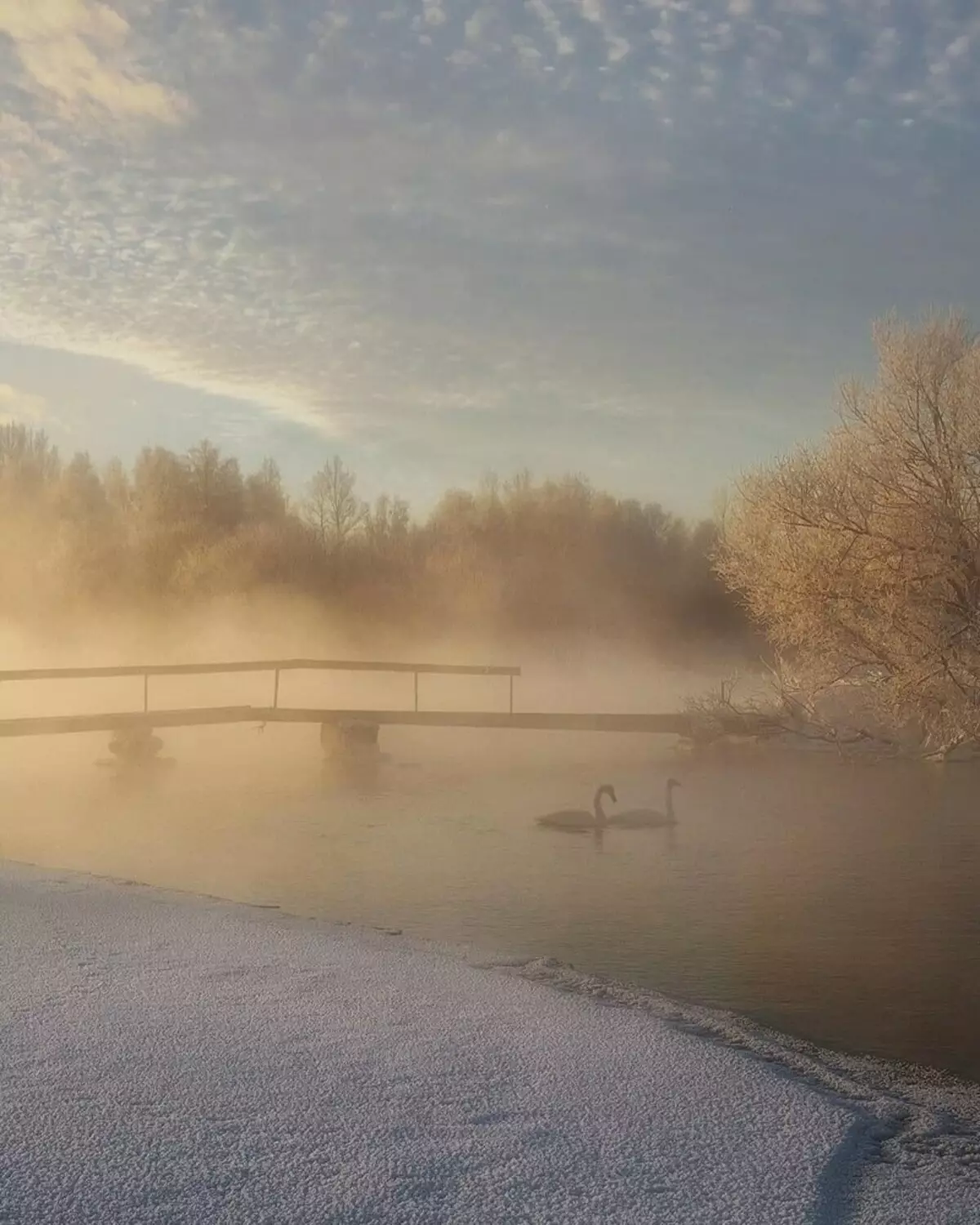 Winterverhaal op de foto's van Andrei Bazanov 59_16