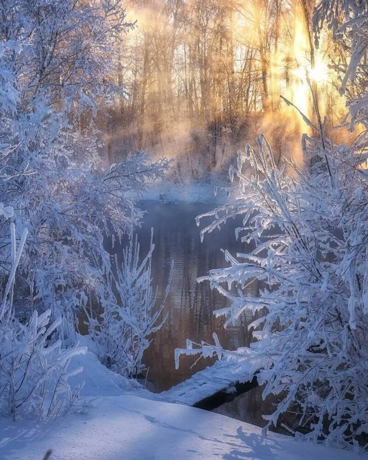 Winterverhaal op de foto's van Andrei Bazanov 59_18