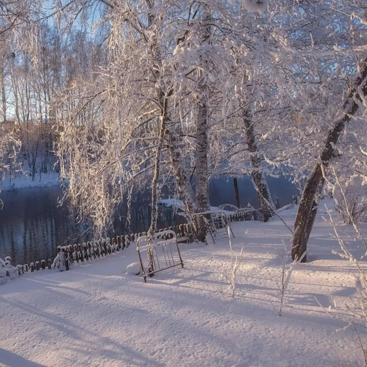 Winterverhaal op de foto's van Andrei Bazanov