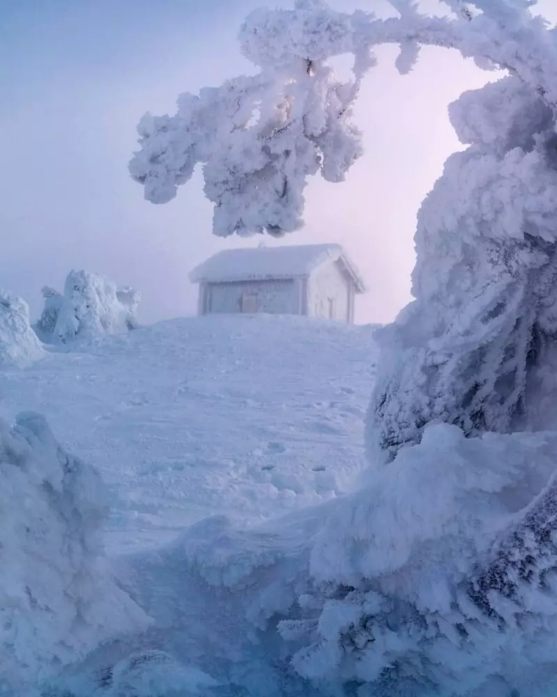 Winterverhaal op de foto's van Andrei Bazanov 59_7