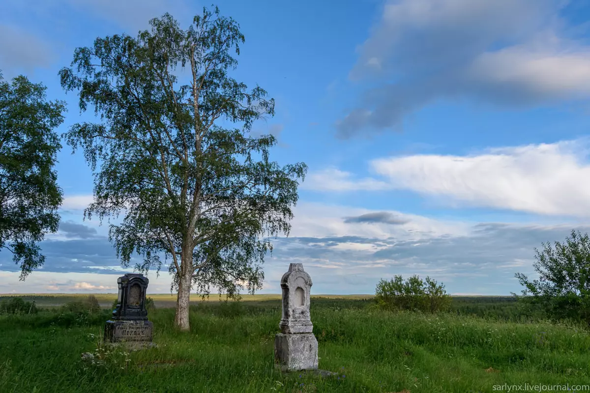 Pozdĺž Onega: Drevené moderné a vyrezávané motívy z Ksenia Chernovaya 6048_21