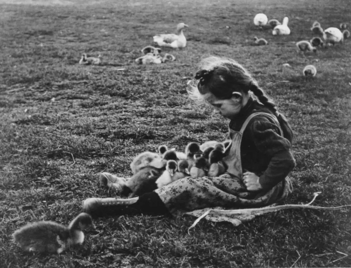 Andre Kertész (André Kertész) - a legnagyobb világképes világképes 6050_19