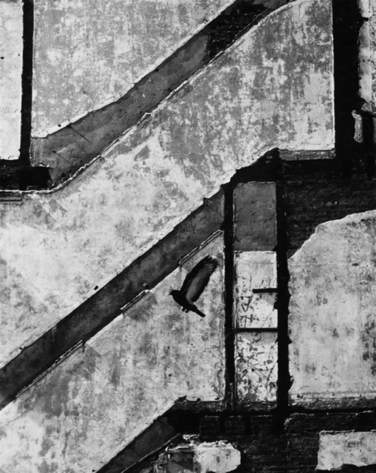 Andre Kertész (André Kertész) - El mejor fotógrafo del mundo 6050_34