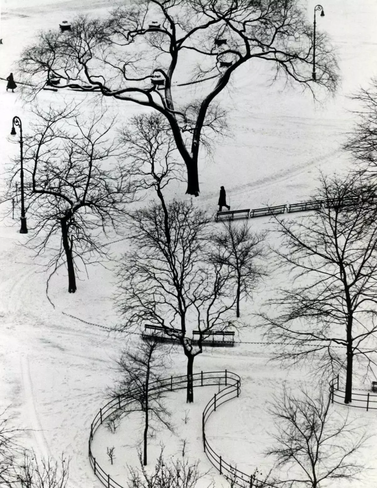 Andre Kertész (André Kertész) - a legnagyobb világképes világképes 6050_50