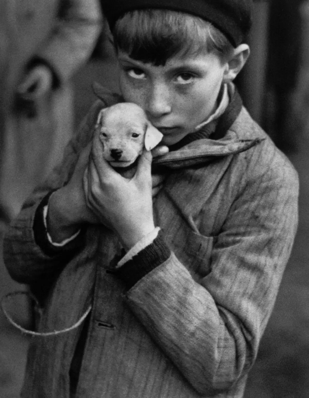 Andre Kertész (André Kertész) - a legnagyobb világképes világképes 6050_8