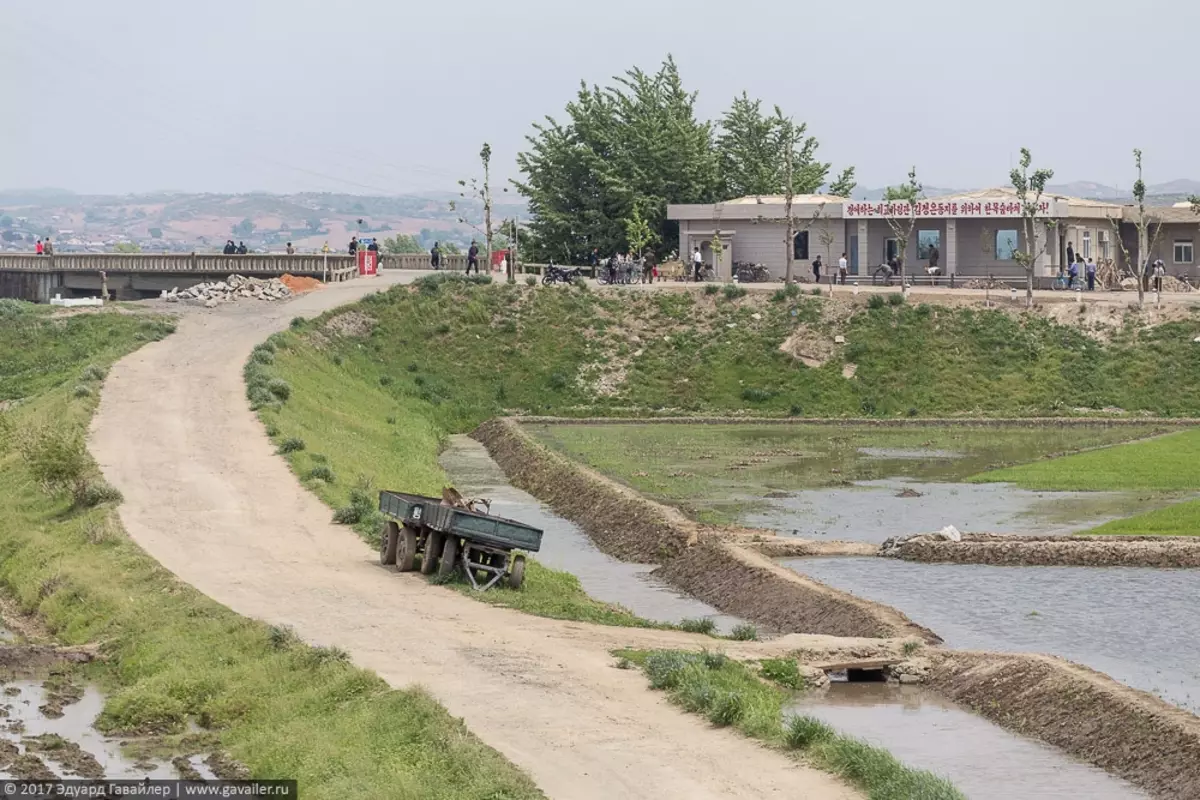 Şimali Koreyadakı bəzəksiz həyat. Fotoqraf Edward Hawaiiler 6082_16