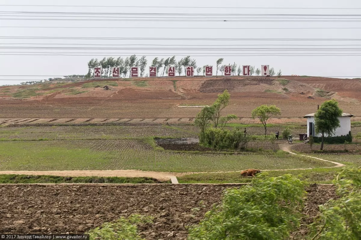 उत्तरेशिवाय उत्तर कोरिया मध्ये जीवन. छायाचित्रकार एडवर्ड हौलाइलर 6082_18