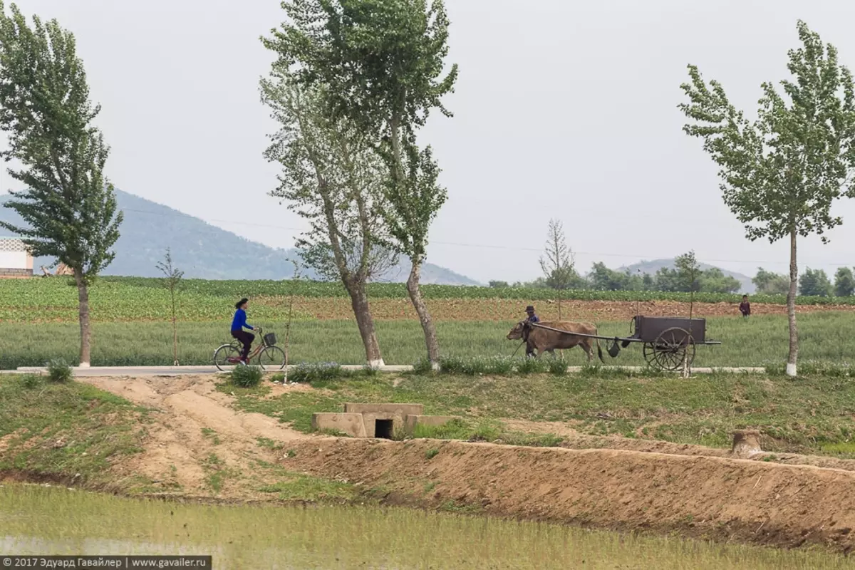 Maisha katika Korea ya Kaskazini bila ya urembo. Mpiga picha Edward Hawaiiler. 6082_19