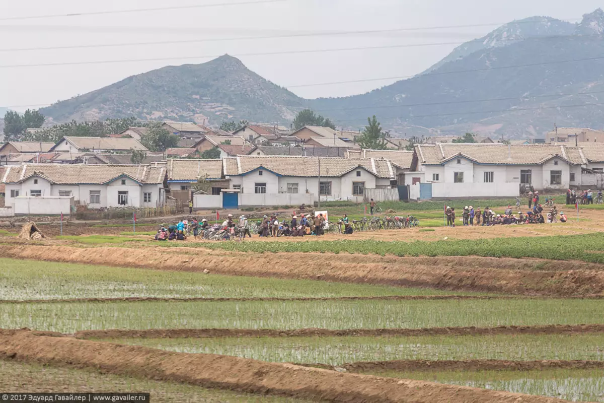 Şimali Koreyadakı bəzəksiz həyat. Fotoqraf Edward Hawaiiler 6082_39