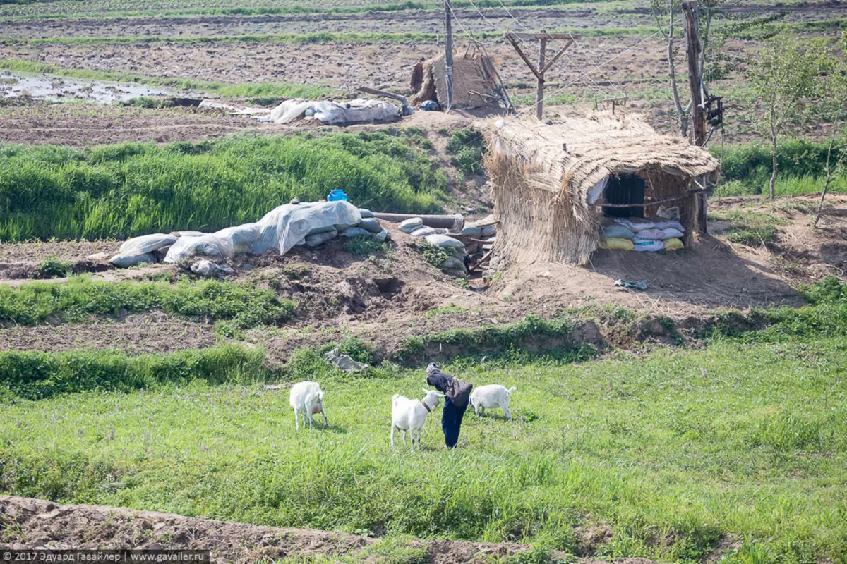 החיים בצפון קוריאה ללא קישוט. צלם אדוארד הוואיילר 6082_42