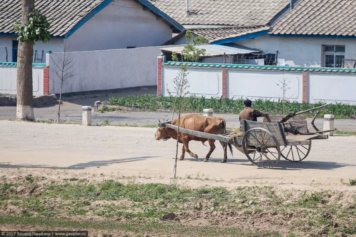 Život v Severní Koreji bez zdobení. Fotograf Edward Hawaiiler. 6082_44