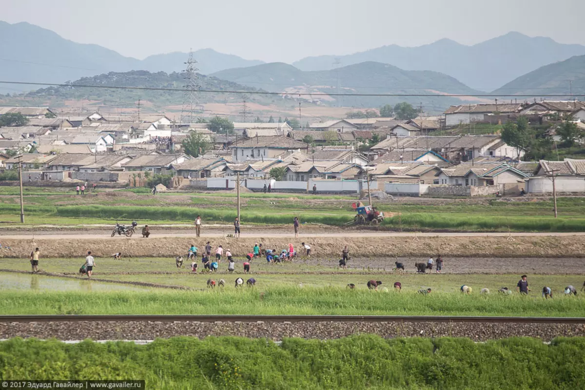 Maisha katika Korea ya Kaskazini bila ya urembo. Mpiga picha Edward Hawaiiler. 6082_49