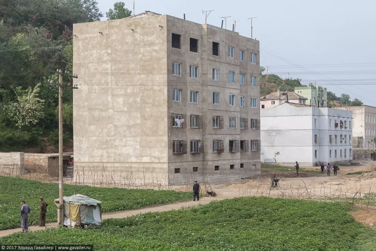 החיים בצפון קוריאה ללא קישוט. צלם אדוארד הוואיילר 6082_53