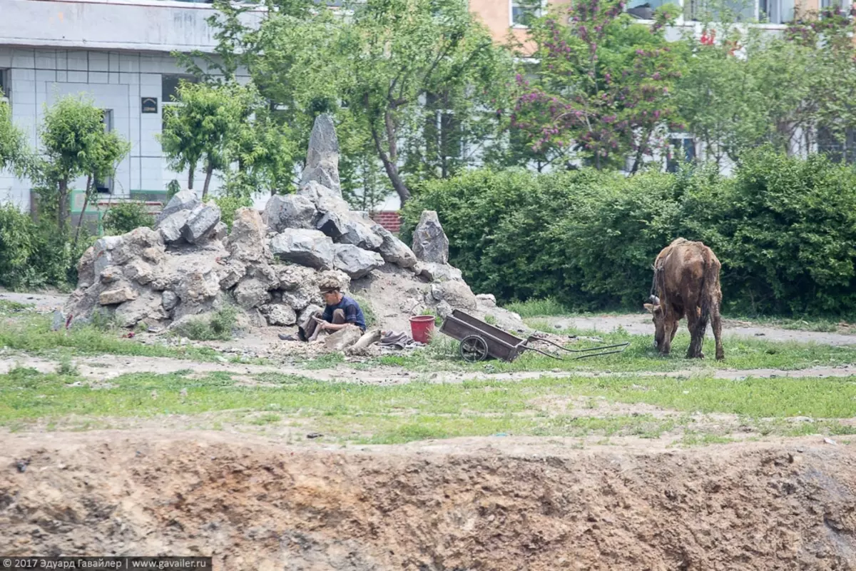 Życie w Korei Północnej bez zdobienia. Fotograf edward hawajszyler. 6082_7