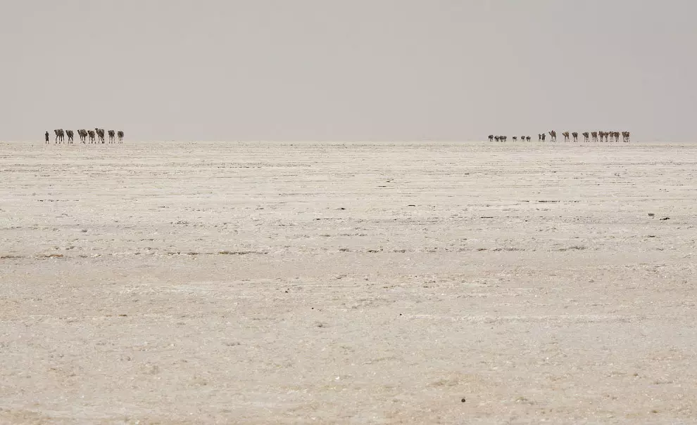 La plej varma loko sur la tero: Wpadina Danakil en Lensoj 6099_20