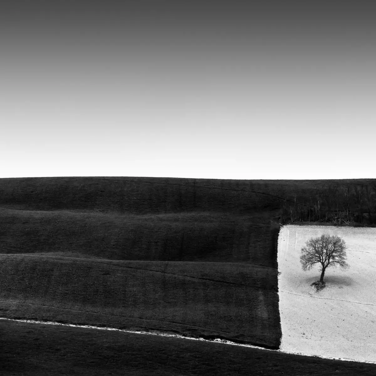 Naravne krajine v črno-belih fotografijah Rosario Chivello (Rosario Civillo) 6125_18