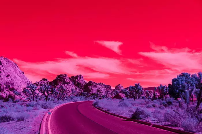 World in Pink Glasses! Palm Springs sa Infrared Pictures Kate Ballis (Kate Ballis) 6160_17