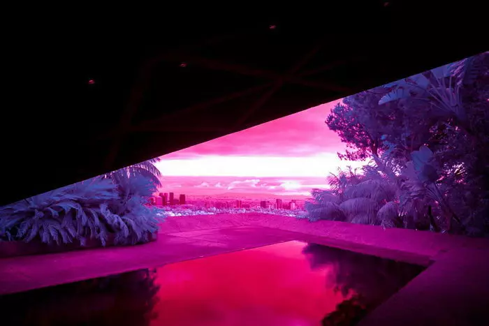 Dunia dalam kacamata merah muda! Palm Springs In Infrared Pictures Kate Ballis (Kate Ballis) 6160_3